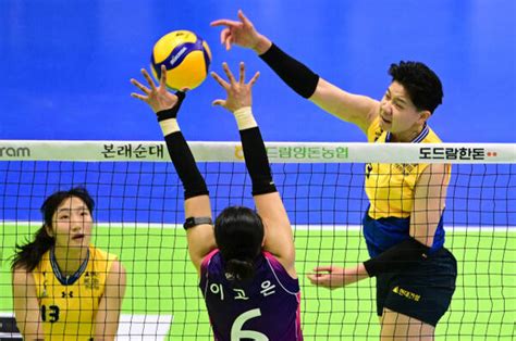‘건재 과시 흥국생명 Vs ‘반드시 설욕 현대건설 미리보는 챔프전