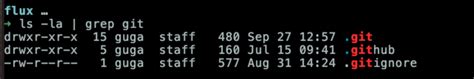 Modules Never Shows Up · Spaceship Prompt Spaceship Prompt · Discussion