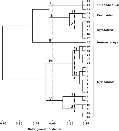 Depiction Of The Results Of The Upgma Clustering Analyses Of Download Scientific Diagram