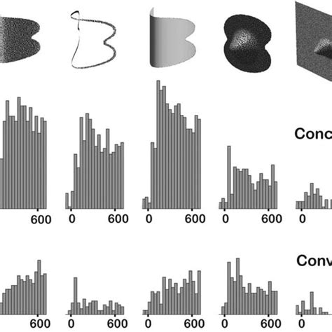 3 D Surface Selectivity Example Neuron In This Surface Selective