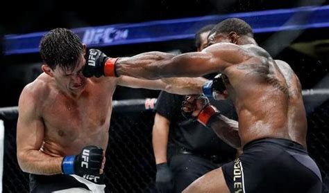 玛雅坐镇ufc圣保罗赛对阵卡温顿 奥古斯托同晚出战萨蒙拳击拳击航母 中文拳击搏击门户网站