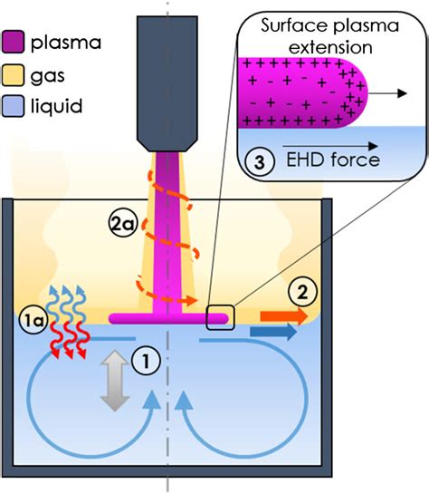 Conceptual Representation Of The Forces And Effects Taking Place When Download Scientific