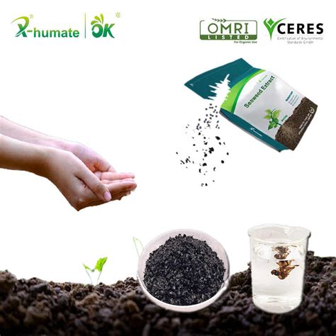 Biostimulant Seaweed Extract From Ascophyllum Nodosum Fertilizer