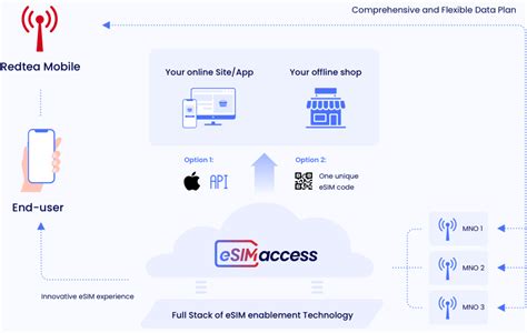 Esim 101 Update Esim Access