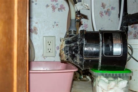 10 Signs Its Time To Replace Your Garbage Disposal ApplianceTeacher
