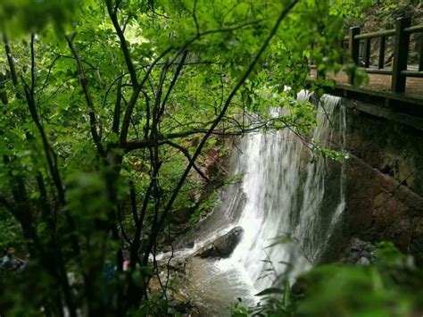 7月24日 上海出发 前往避暑胜地莫干山