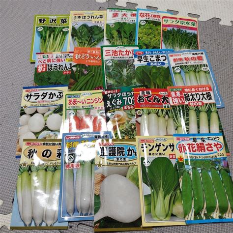 Ryu様 リクエスト 2点 まとめ商品 メルカリ