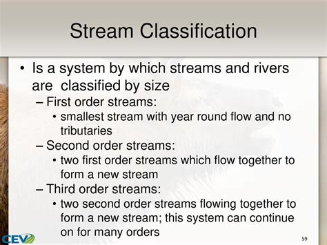 Objectives To Identify The Levels Of Ecological Organization Ppt Download