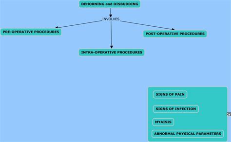 Lab 2 Dehorning And Disbudding Procedures