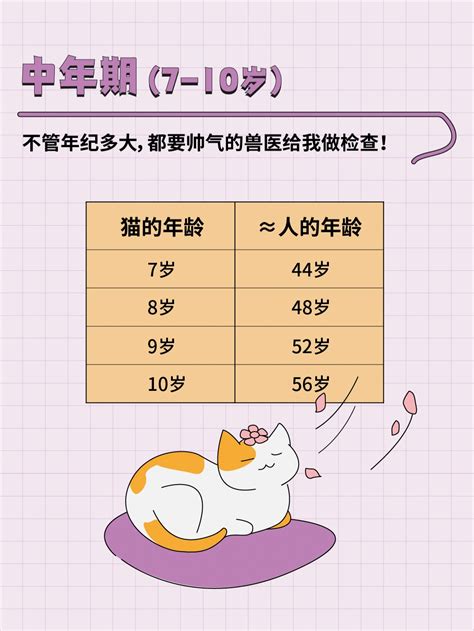 人猫年龄对比表快来看看你家主子几岁了 知乎