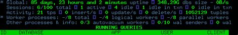 Weird Display Issues Inside Gnu Screen Issue Dalibo Pg