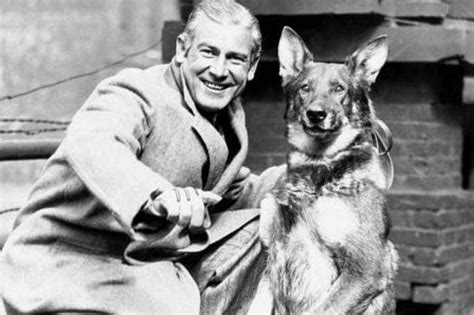 Rin Tin Tin Hometowns To Hollywood