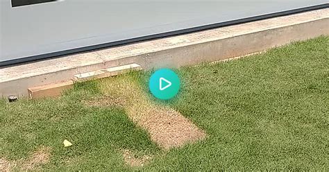 Phantom Retractable Vynal Screens Album On Imgur