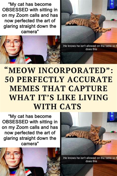 Meow Incorporated” 50 Perfectly Accurate Memes That Capture What Its