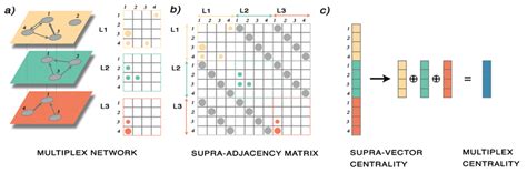schematic illustration of multiplex representation and analysis a