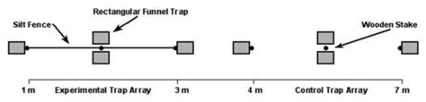 Design For Control And Experimental Trap Arrays Each Array Consisted Download Scientific