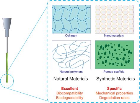 Advancements Of 3d Bioprinting In Regenerative Medicine Exploring Cell Sources For Organ
