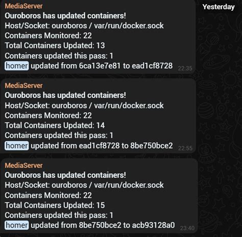 Authelianginx Redirects To Download The Assetsconfigyml File Rather Than Display The Page