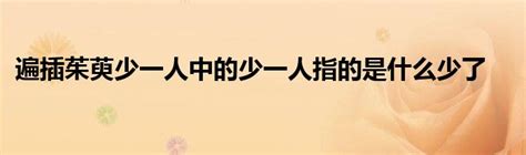 遍插茱萸少一人中的少一人指的是什么少了 草根科学网