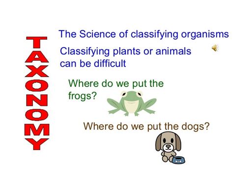 Diversity Of Living Things