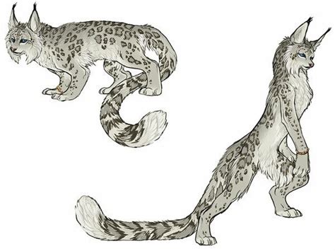 Как нарисовать хвост рыси 91 фото