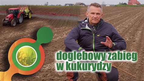 Siew kukurydzy rozpoczęty Pora wykonać doglebowe zabiegi herbicydowe