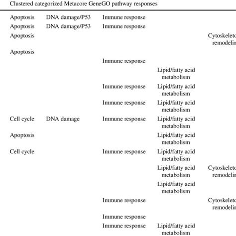 Clustered And Categorized Metacore Genego Pathway Responses Upon 7 Day
