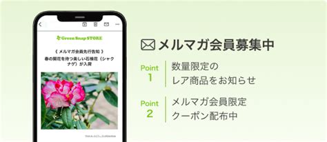 Horti By Greensnap
