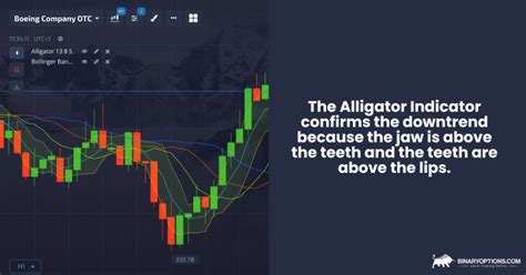 How To Use The Alligator Indicator For Binary Options