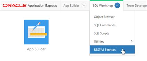 Creating And Using A Restful Web Service In Application Express 51