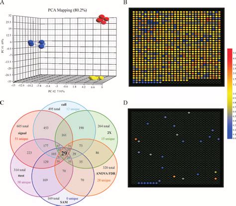 Microarray Transcriptional Analysis Of Strains L2 434 And L2 25667r Download Scientific