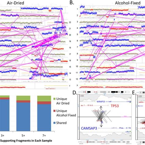 Overview Of Whole Exome Sequencing Wes Analysis In Spike In And