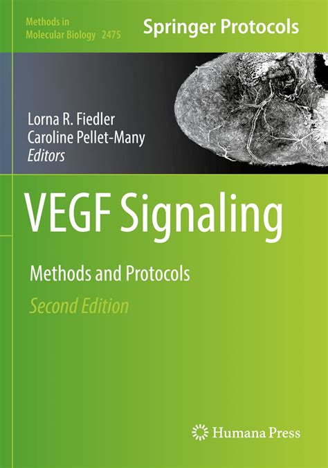 Vegf Signaling Methods And Protocols Methods In Molecular Biology