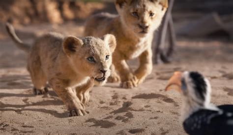 I Just Cant Wait To Be King 2019 Song Lyrics Lion King