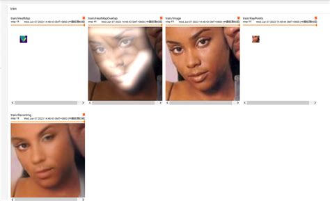 The Location Wflw Five Keypoints Of Is Very Worse · Issue 3 · Xingzheheautolink Self