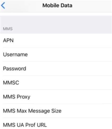 Iphone X Apn Settings Solving Data And Mms Issues