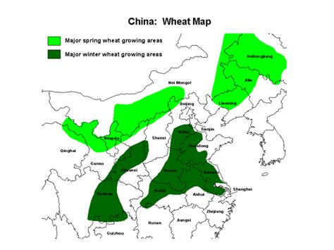 Wheat Map