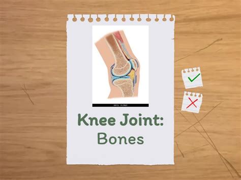 Gcse Pe Joints Flash Cards