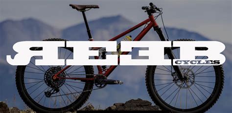 Reeb Cycles