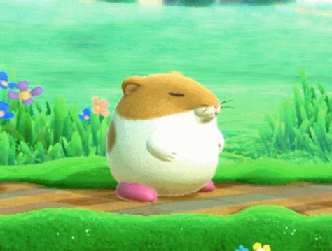 Trottings Ricks Idle Animations From Kirby Star Allies On Make A 