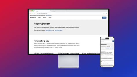 Cdc Prime Reportstream Ui And Api Development — Hayanova