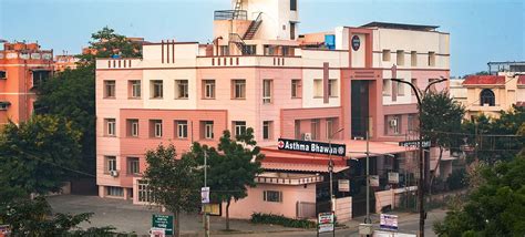 Jaipur Braces For Allergy Season As Holoptelia Pollen Emerges