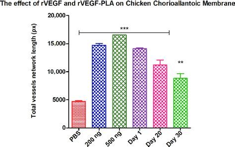 B Effect Of Rvegf 121 And Pla Vegf Microparticles On Ex Vivo