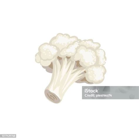만화 스타일의 콜리플라워 부분 유기농 야채 농장 신선한 제품 흰색 배경에서 격리된 벡터 그림입니다 꽃 양배추에 대한 스톡 벡터 아트 및 기타 이미지 Istock