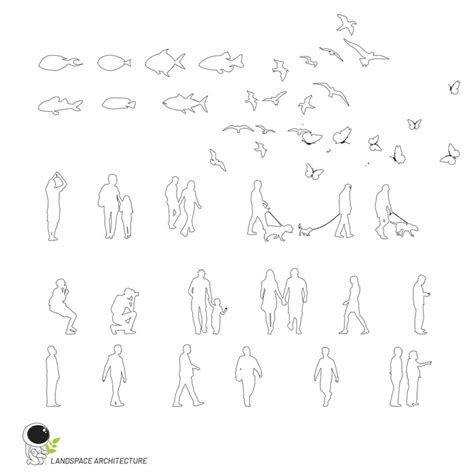 Vector Landscape Illustration Bundle Tree Elevation Vectors