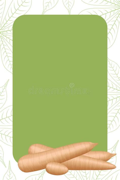 Banner Frame Of Cassava Fresh For Copy Space Cassava Cut Slice For