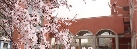 材料科学与工程学院材料与化工研究生党支部开展知校爱校荣校主题党日活动 内蒙古科技大学材料科学与工程学院