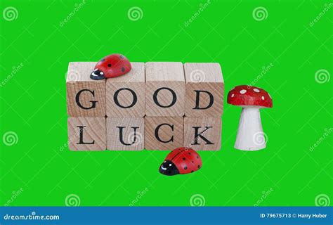 Good Luck Stock Image Image Of Luck Happy Wooden Charm 79675713