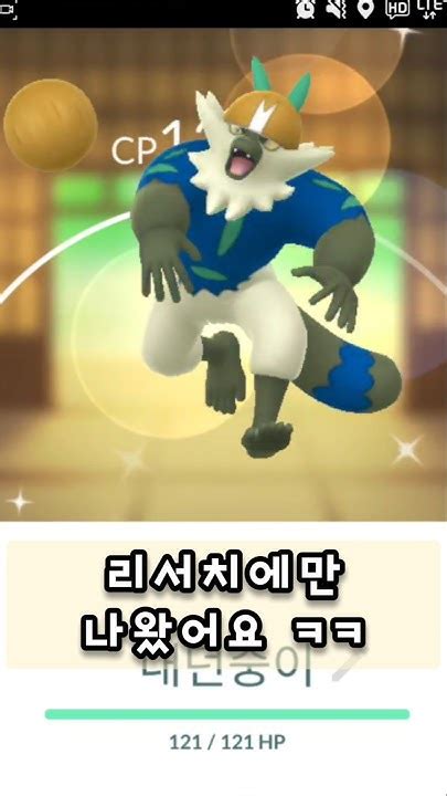 원숭이 이벤트 내던숭이 이로치를 잡아보자 포켓몬고 포고 Youtube