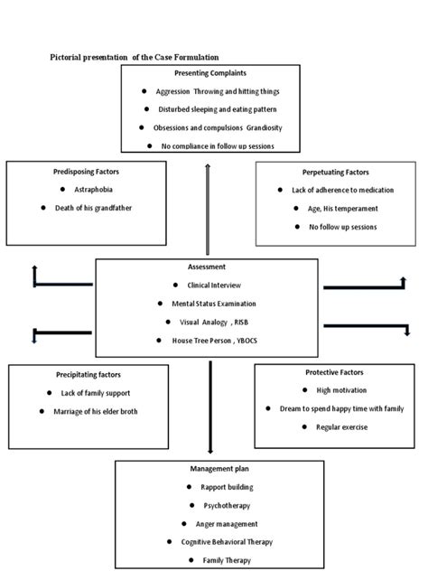 Final Pictorial Picture Of The Case Formulation Pdf Pdf